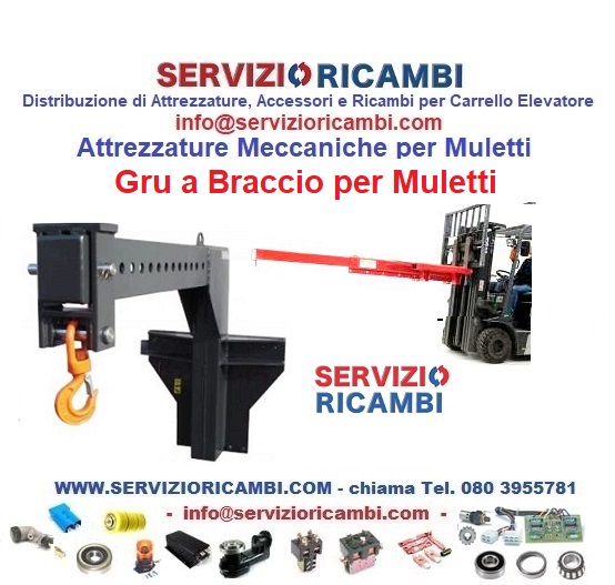 Gru a Braccio per Muletti - Servizio Ricambi